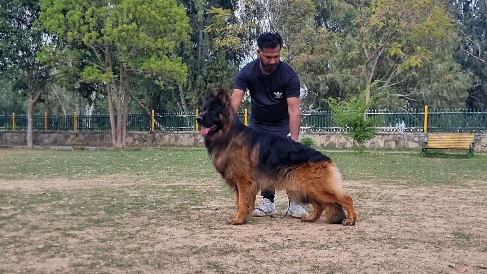 Nix vom Haus Neoplantum's Basic Data - German Shepherd Dog Club of Pakistan